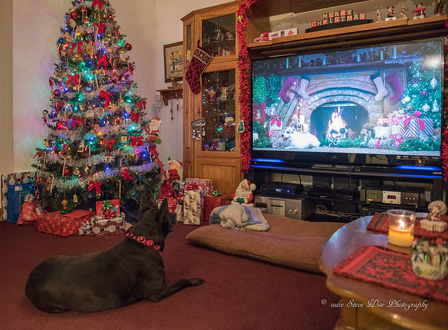 Seven Classic TV Christmas Episodes to Boost Your Holiday Spirit ...